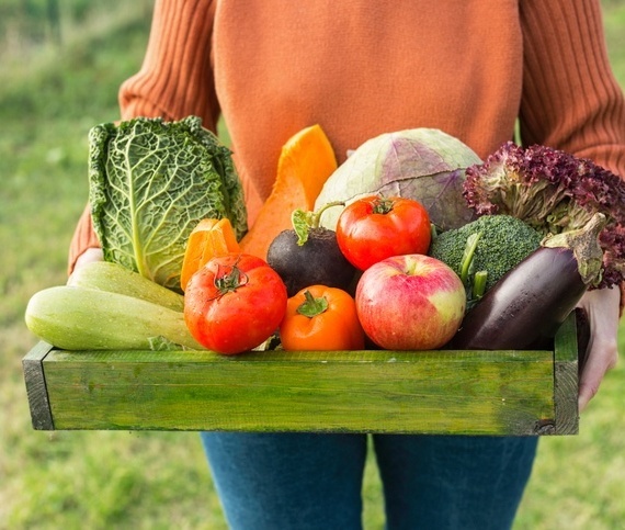 EU Organic Certification Guide for Food & Beverage | Trace One