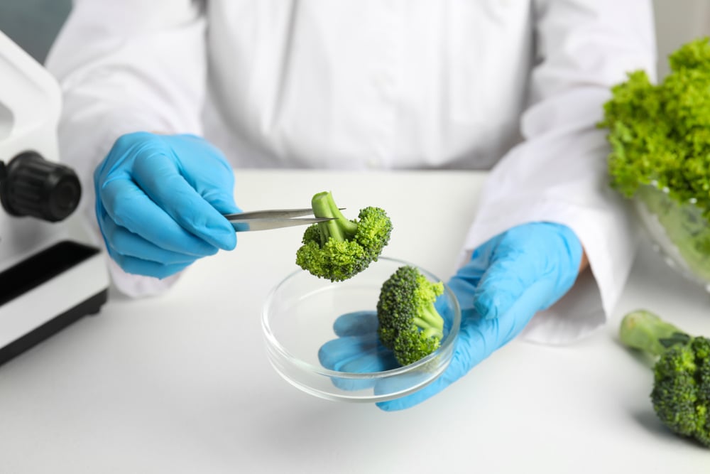 States Most Impacted by Food Recalls in Recent Years [2026 Edition]